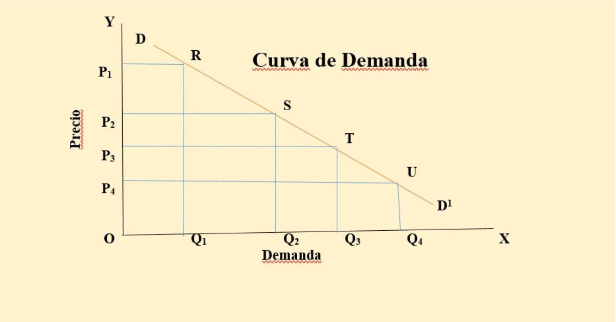 ¿Qué Significa La Demanda? (What Is Demand?)